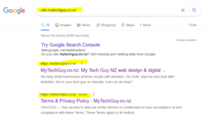 My Website Is Not Showing On Google Search? Why & How To Fix It